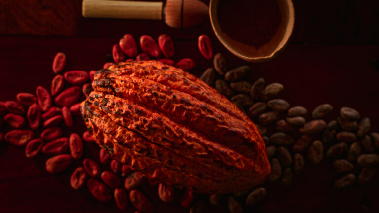 Exploring Belizean Chocolate and Its Maya Roots – Authentically Belize